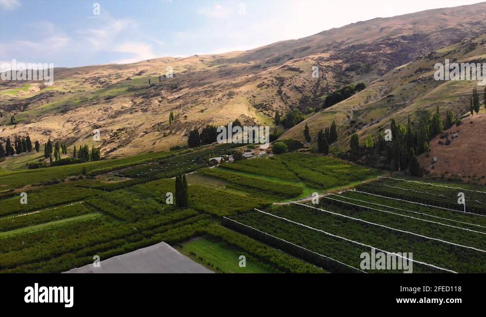 World famous Fruitlands in valley of New Zealand with plenty fruit ...