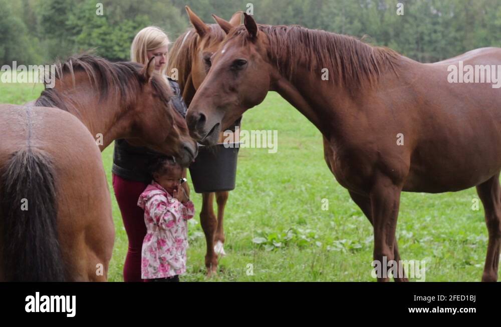 Compassion to animals Stock Videos & Footage - HD and 4K Video Clips ...