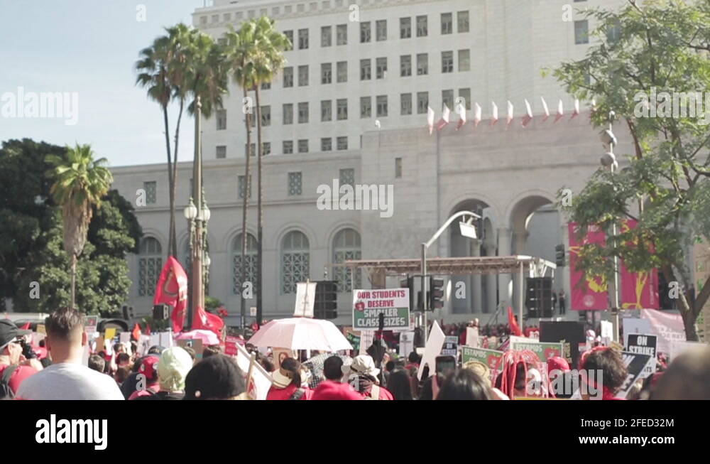 Students palm trees Stock Videos & Footage - HD and 4K Video Clips - Alamy