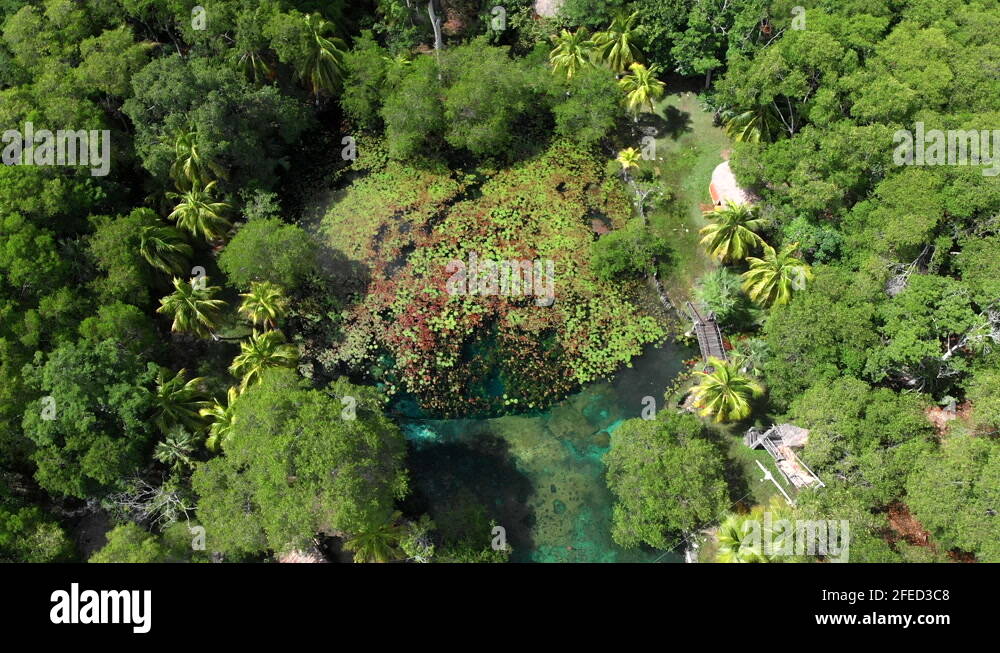 Freshwater reserve Stock Videos & Footage - HD and 4K Video Clips - Alamy