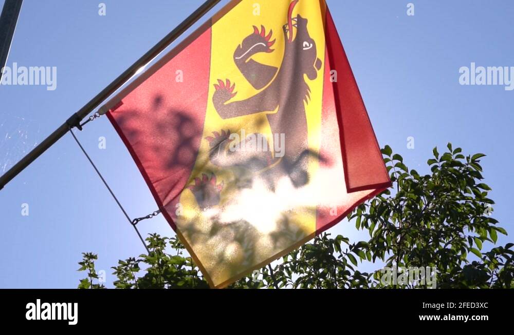 Bern coat of arms Stock Videos & Footage - HD and 4K Video Clips - Alamy