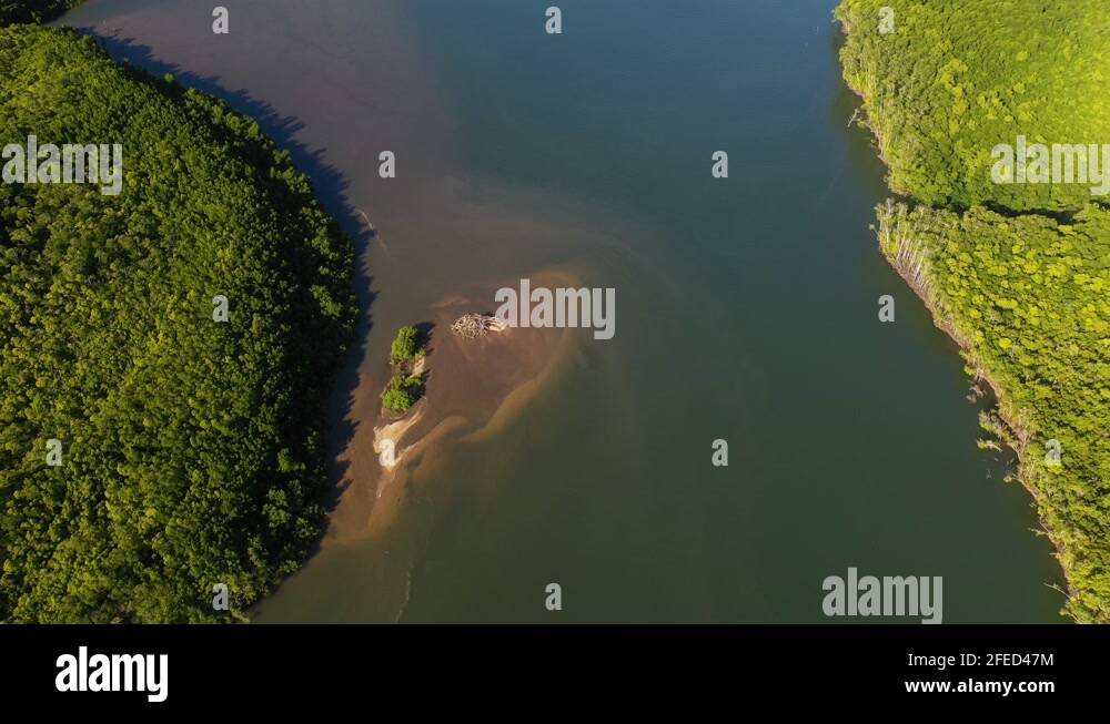 Delta ecosystem Stock Videos & Footage - HD and 4K Video Clips - Alamy