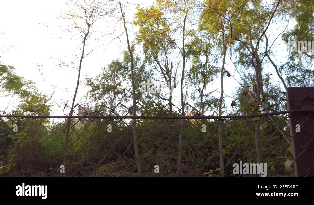 Missing fence Stock Videos & Footage - HD and 4K Video Clips - Alamy