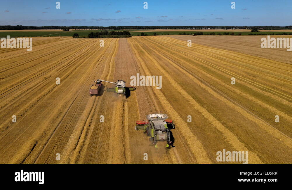 Combine harvesters harvesting grain prairie Stock Videos & Footage - HD ...