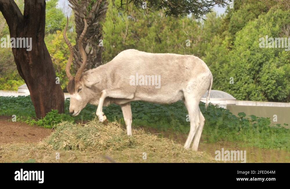 Water conservation morocco Stock Videos & Footage - HD and 4K Video ...