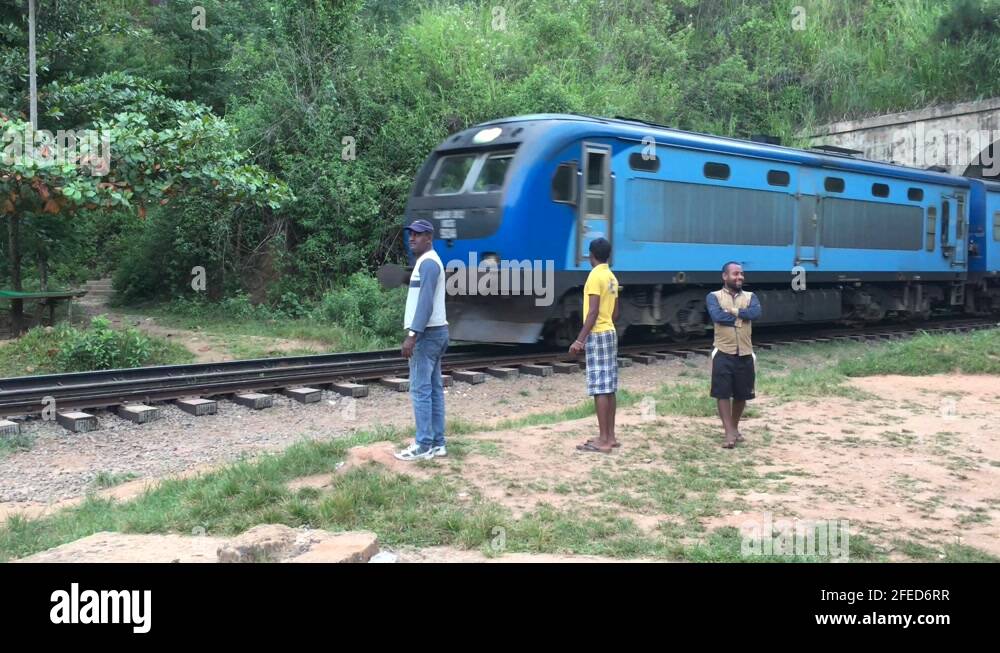 Train Coming out of the tunnel in 100-year-old nine arch bridge in ...