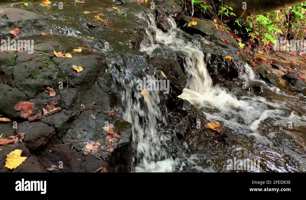 Bubbling ponds Stock Videos & Footage - HD and 4K Video Clips - Alamy
