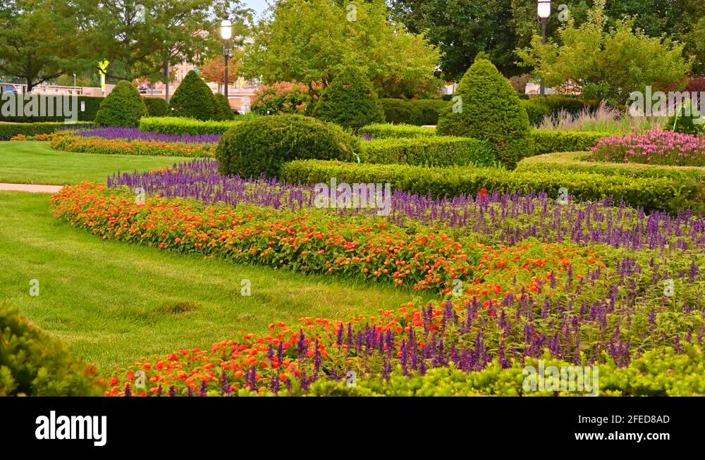 Prize flower Stock Videos & Footage - HD and 4K Video Clips - Alamy