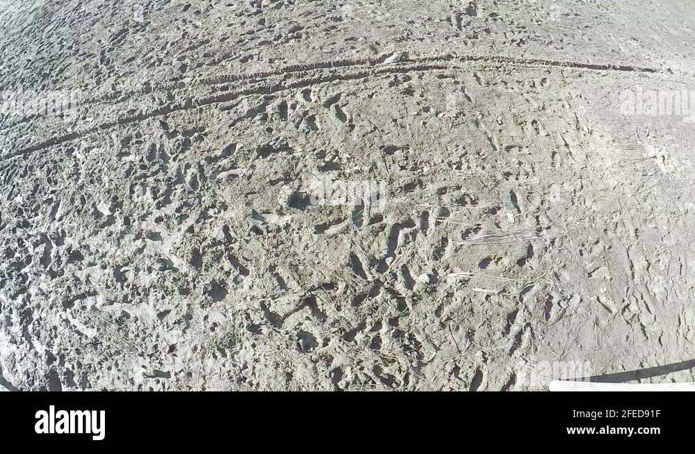 Animal footprints in mud Stock Videos & Footage - HD and 4K Video Clips ...