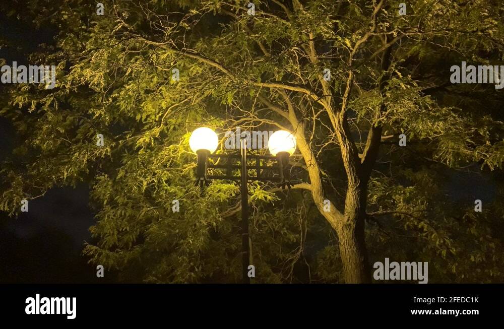 Lamp post night Stock Videos & Footage - HD and 4K Video Clips - Alamy
