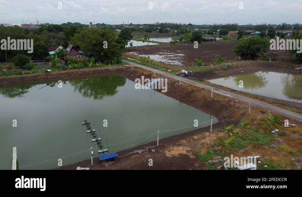 Traditional ponds Stock Videos & Footage - HD and 4K Video Clips - Alamy