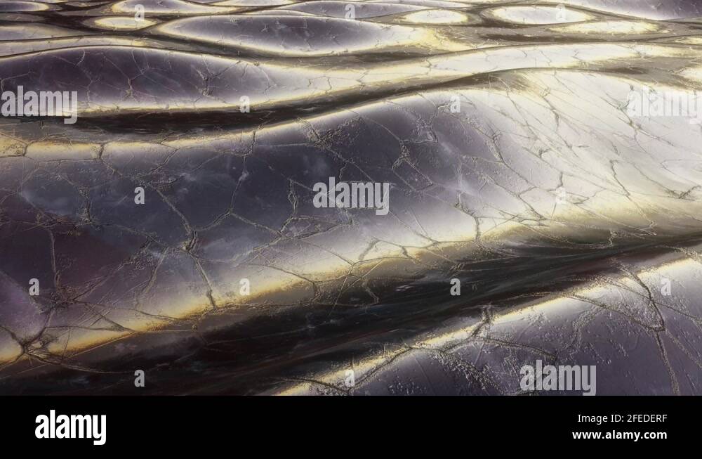 Silver alien Stock Videos & Footage - HD and 4K Video Clips - Alamy