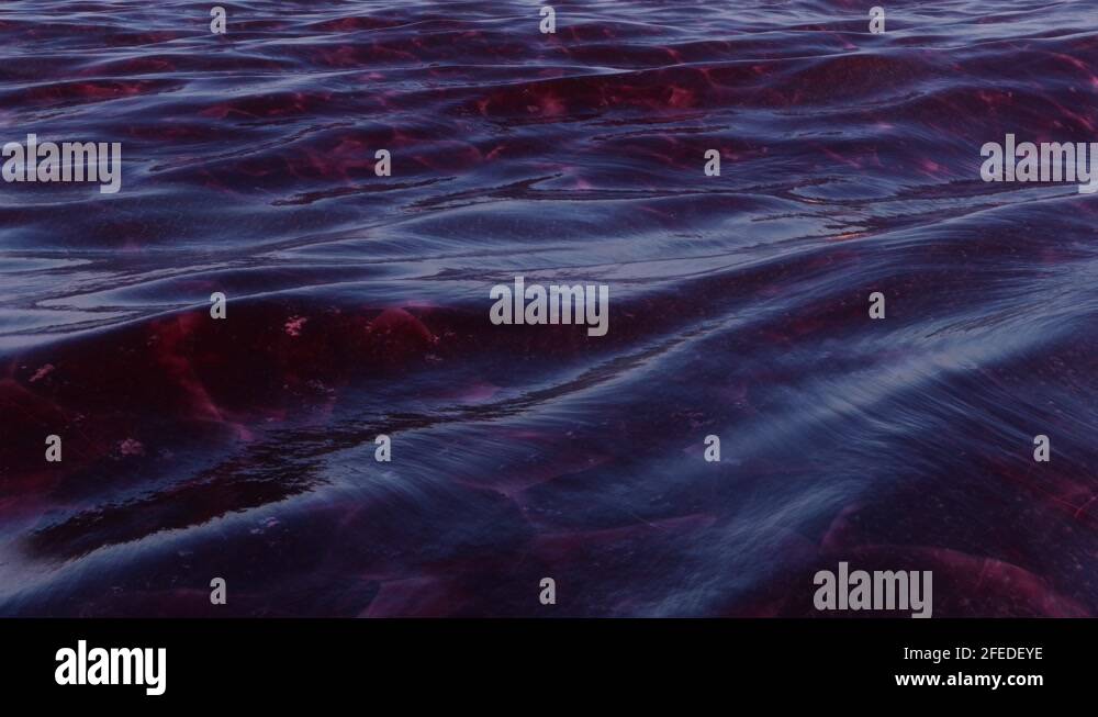 Abstract dark blue waves Stock Videos & Footage - HD and 4K Video Clips ...