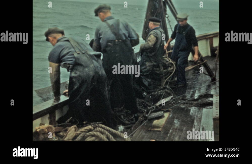 1950s: Men on deck of fishing boat pull in net full of fish. Fish net ...