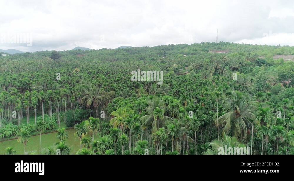 Rainy season kerala Stock Videos & Footage - HD and 4K Video Clips - Alamy