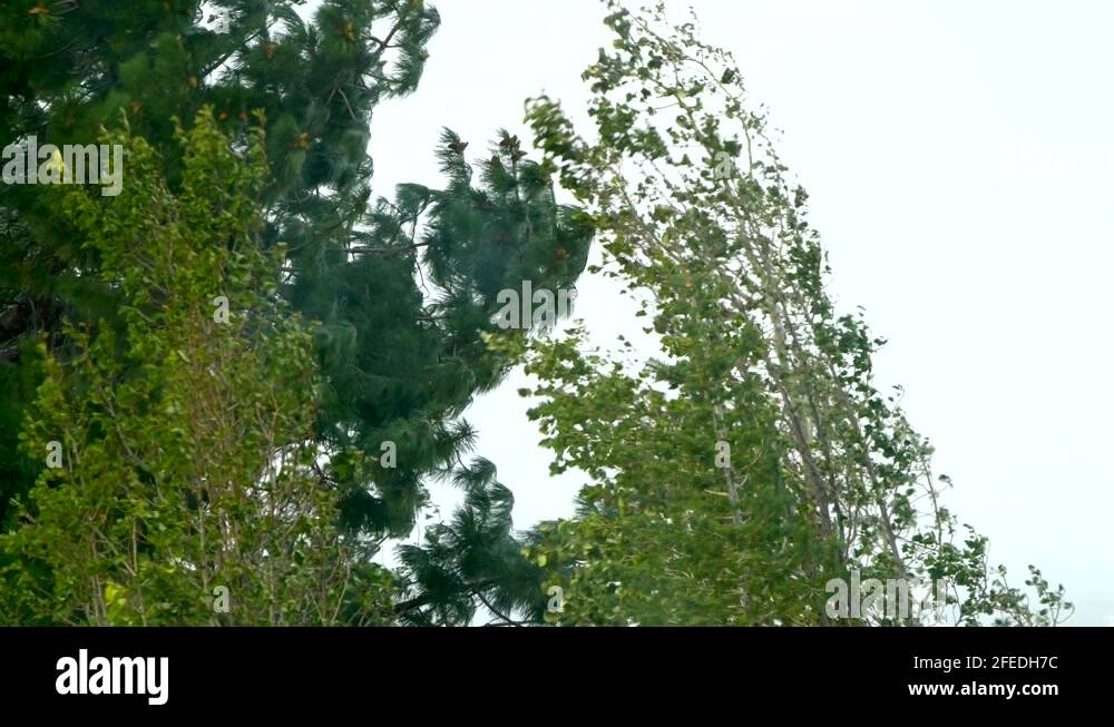 80 hour Stock Videos & Footage - HD and 4K Video Clips - Alamy