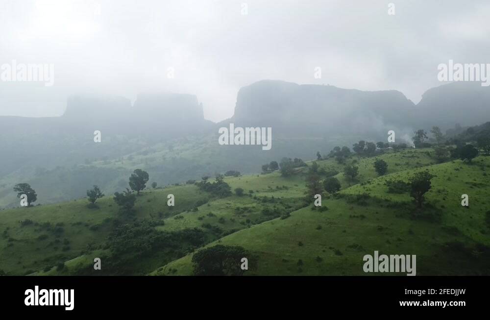 Western ghats trees Stock Videos & Footage - HD and 4K Video Clips - Alamy