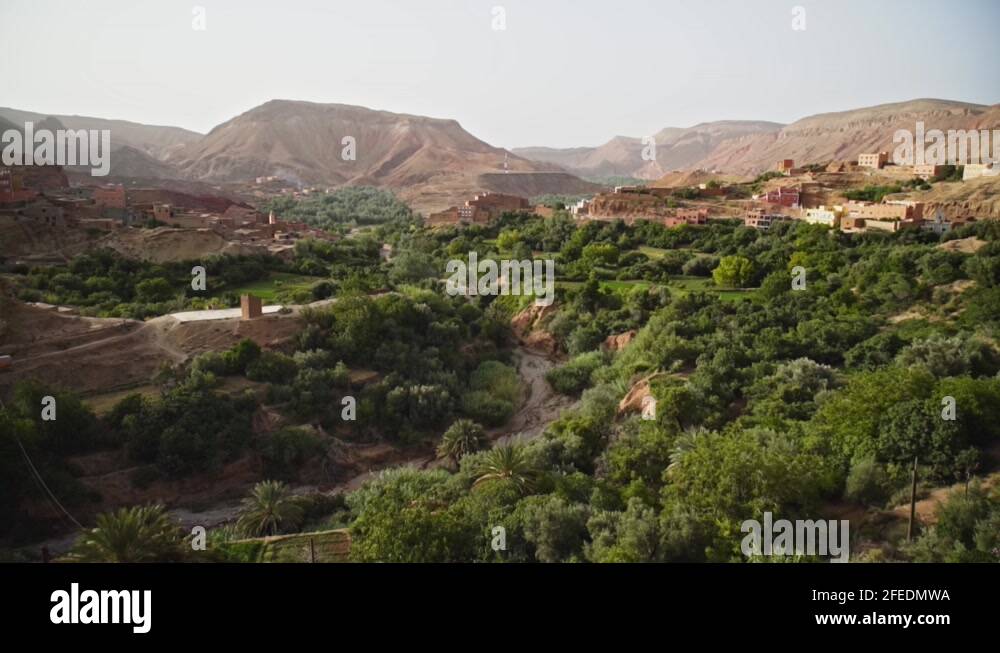 Flora of the atlas Stock Videos & Footage - HD and 4K Video Clips - Alamy