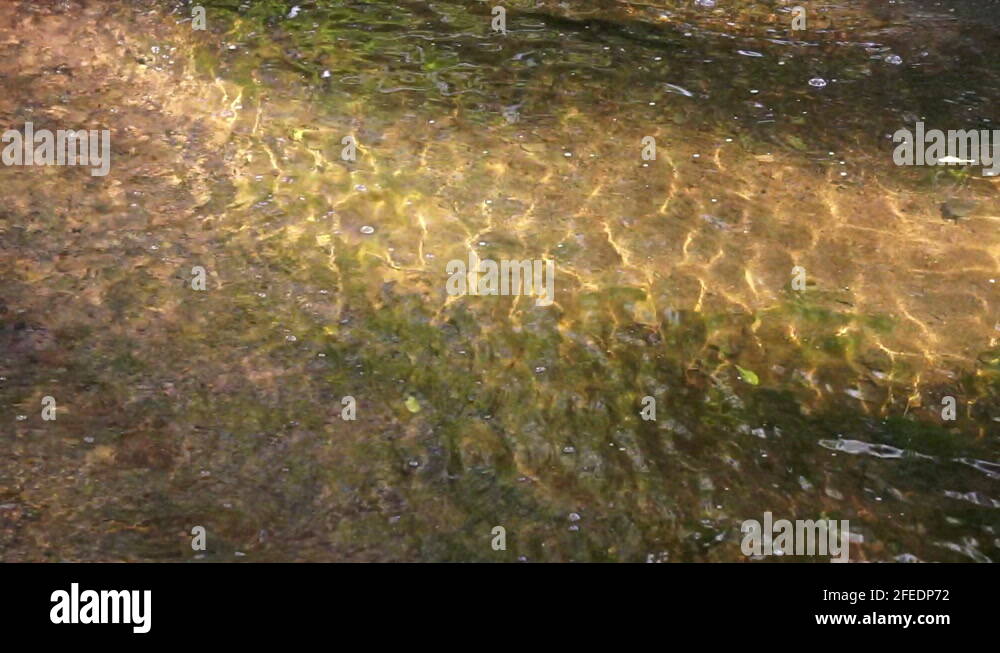 Refraction light water Stock Videos & Footage - HD and 4K Video Clips ...