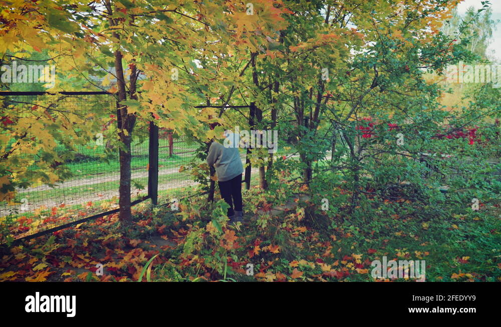 That turned gold Stock Videos & Footage - HD and 4K Video Clips - Alamy