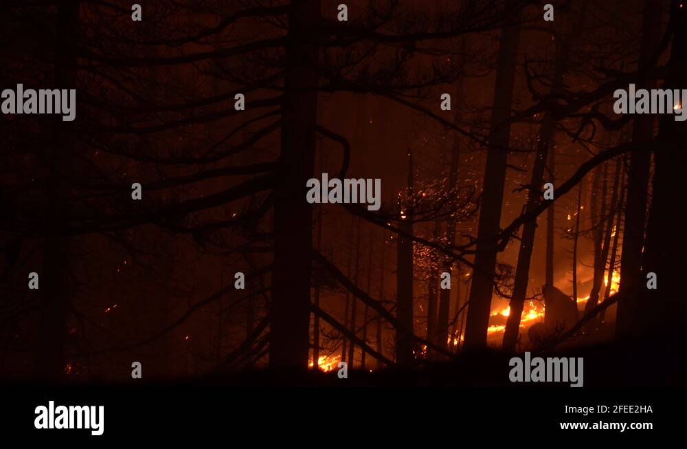 Fire crest Stock Videos & Footage - HD and 4K Video Clips - Alamy