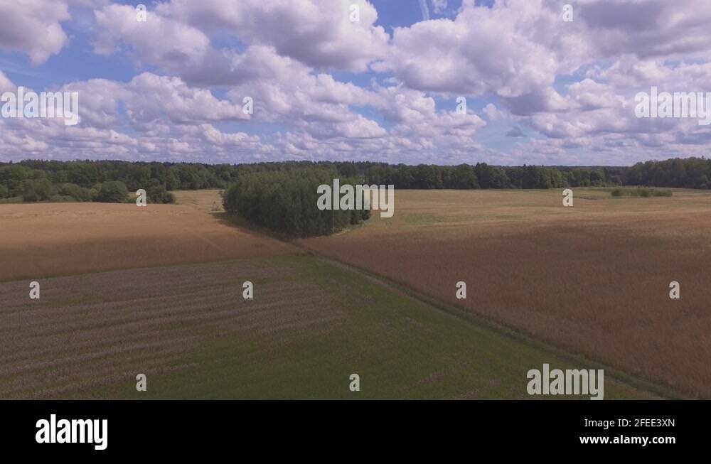 Agricultural patch Stock Videos & Footage - HD and 4K Video Clips - Alamy