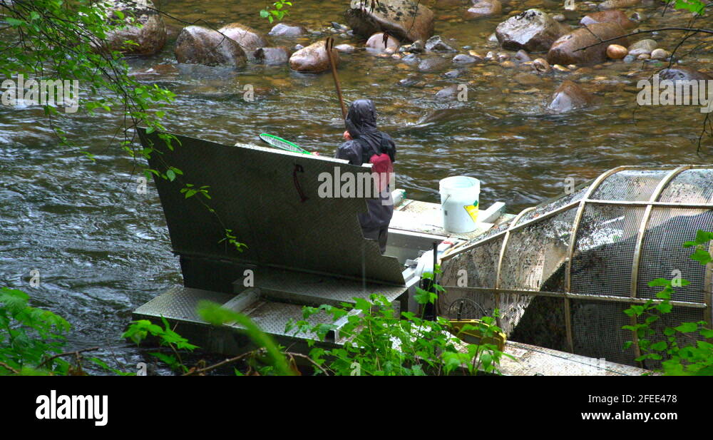 Rotary screw trap Stock Videos & Footage - HD and 4K Video Clips - Alamy