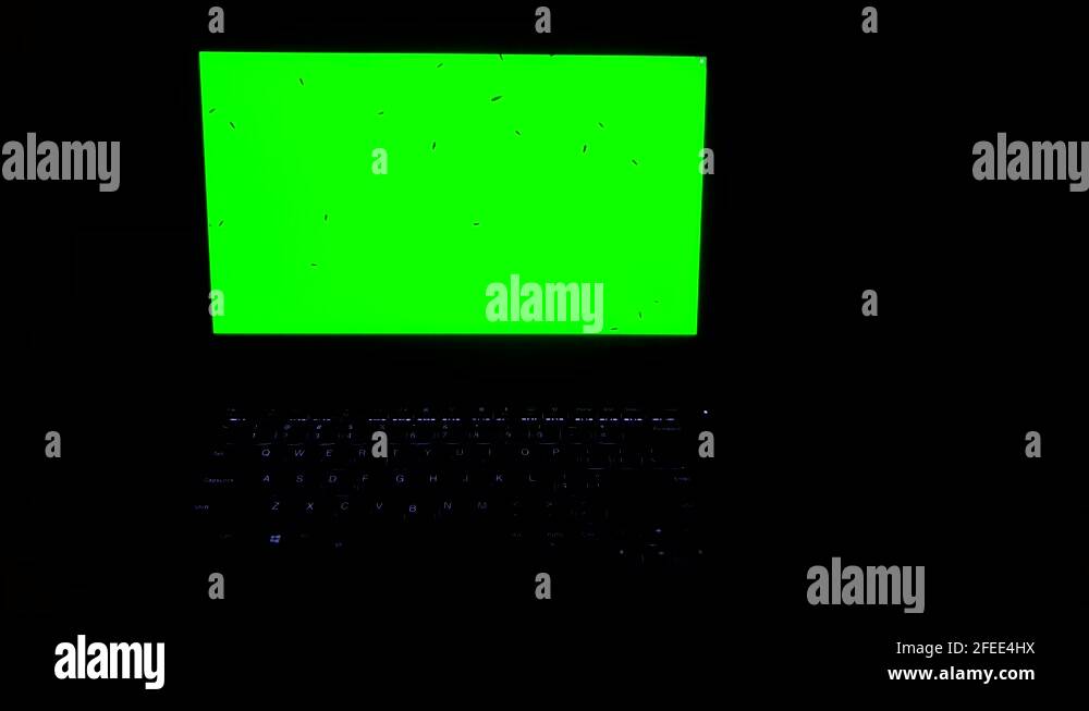 Tiny insects on a computer screen isolated with green background Stock ...