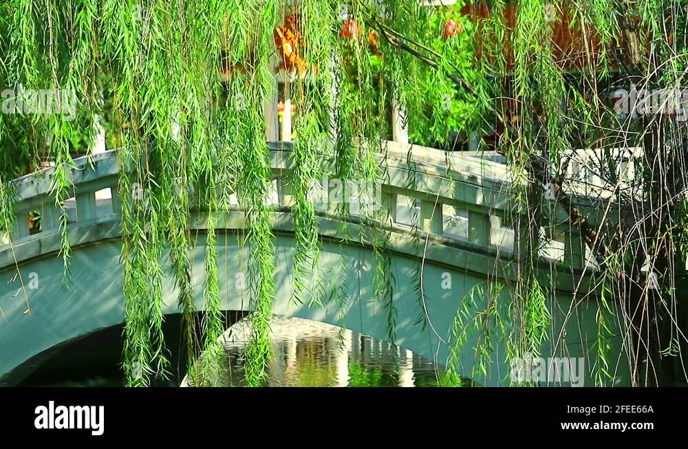 Chinese bridge weeping willow tree Stock Videos & Footage - HD and 4K ...