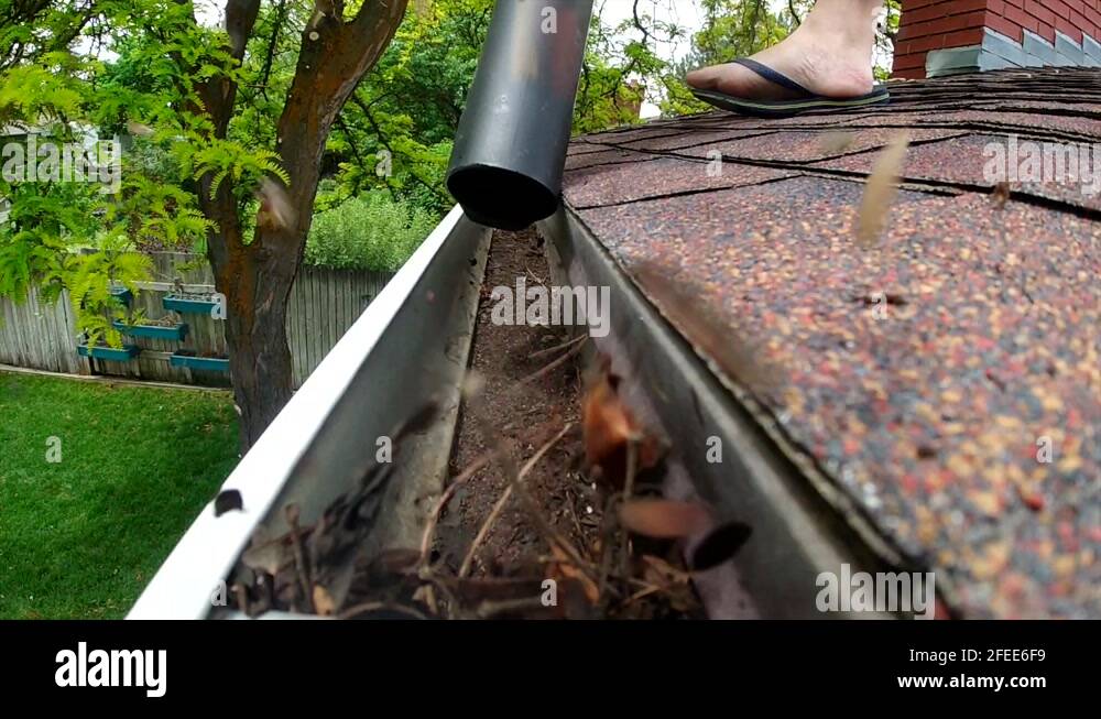 Rain leaves gutter Stock Videos & Footage - HD and 4K Video Clips - Alamy