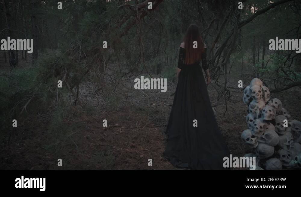 silhouette of ghost woman. black vintage long dress. Pagan lady, y ...