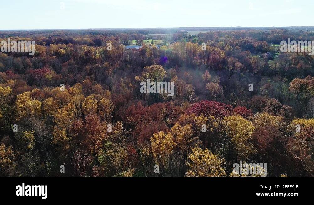 Spectacular fall colors shown in an epic cinematic shot Stock Video ...