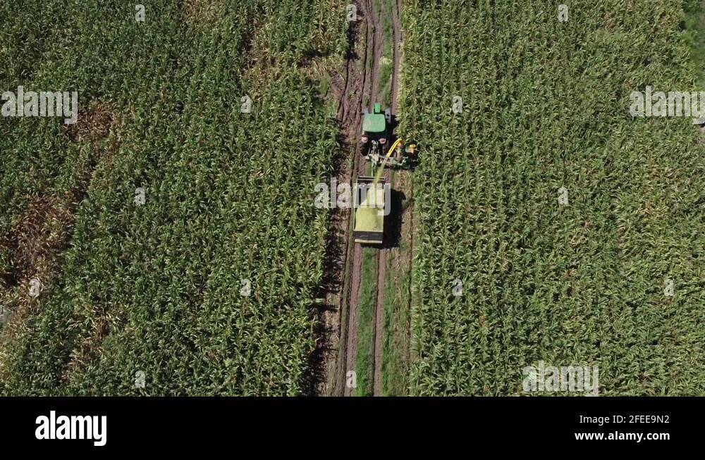 Panama america Stock Videos & Footage - HD and 4K Video Clips - Alamy