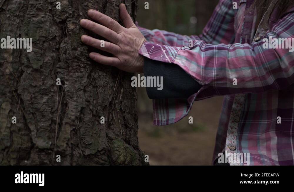 People hugging tree Stock Videos & Footage - HD and 4K Video Clips - Alamy
