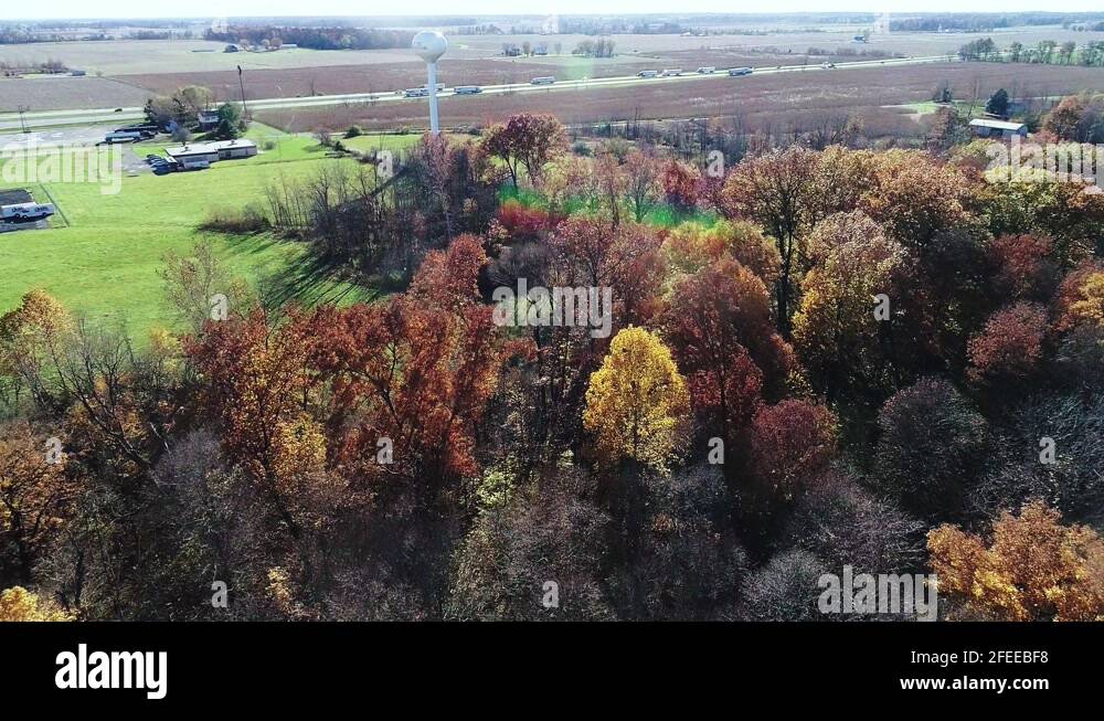 Indiana trees Stock Videos & Footage - HD and 4K Video Clips - Alamy