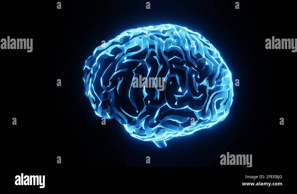 Allocortex Stock Videos & Footage - HD and 4K Video Clips - Alamy