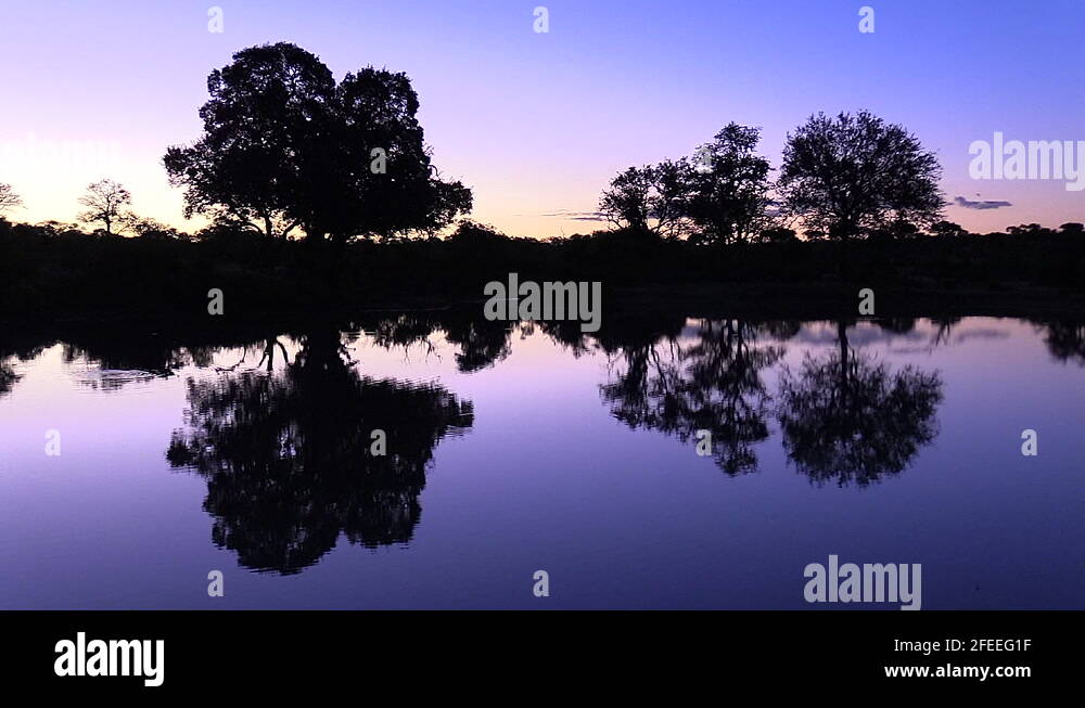 Idyllic african setting Stock Videos & Footage - HD and 4K Video Clips ...