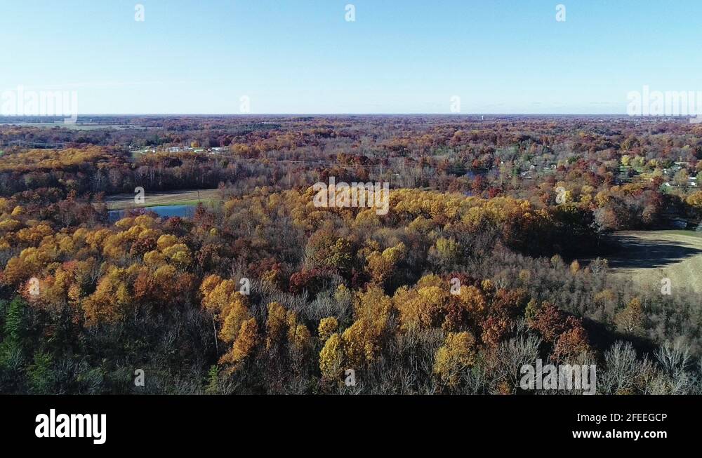 Dramatic fall color Stock Videos & Footage - HD and 4K Video Clips - Alamy