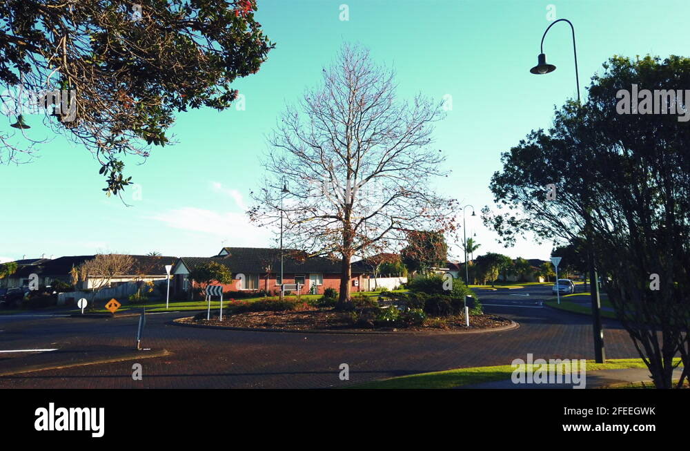 Roundabout tree Stock Videos & Footage - HD and 4K Video Clips - Alamy