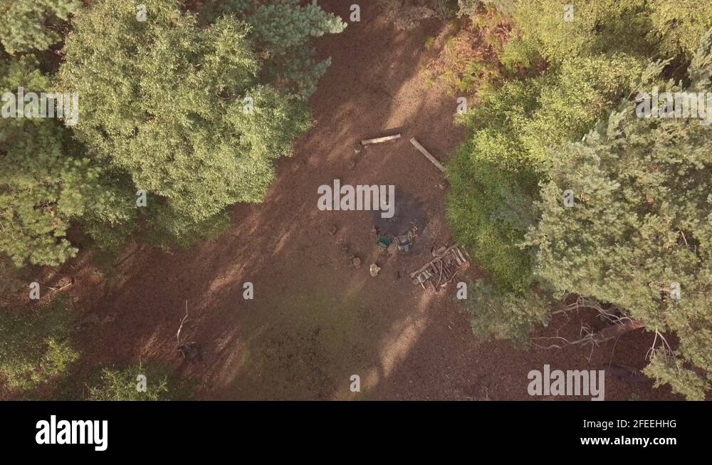 Log circle Stock Videos & Footage - HD and 4K Video Clips - Alamy