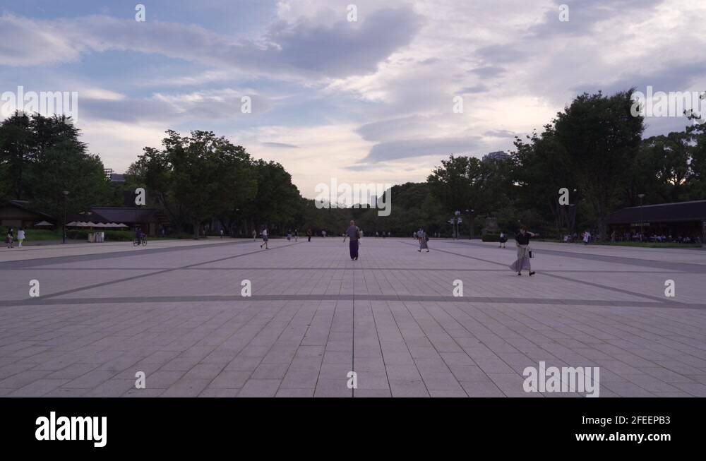 Square of ueno park Stock Videos & Footage - HD and 4K Video Clips - Alamy