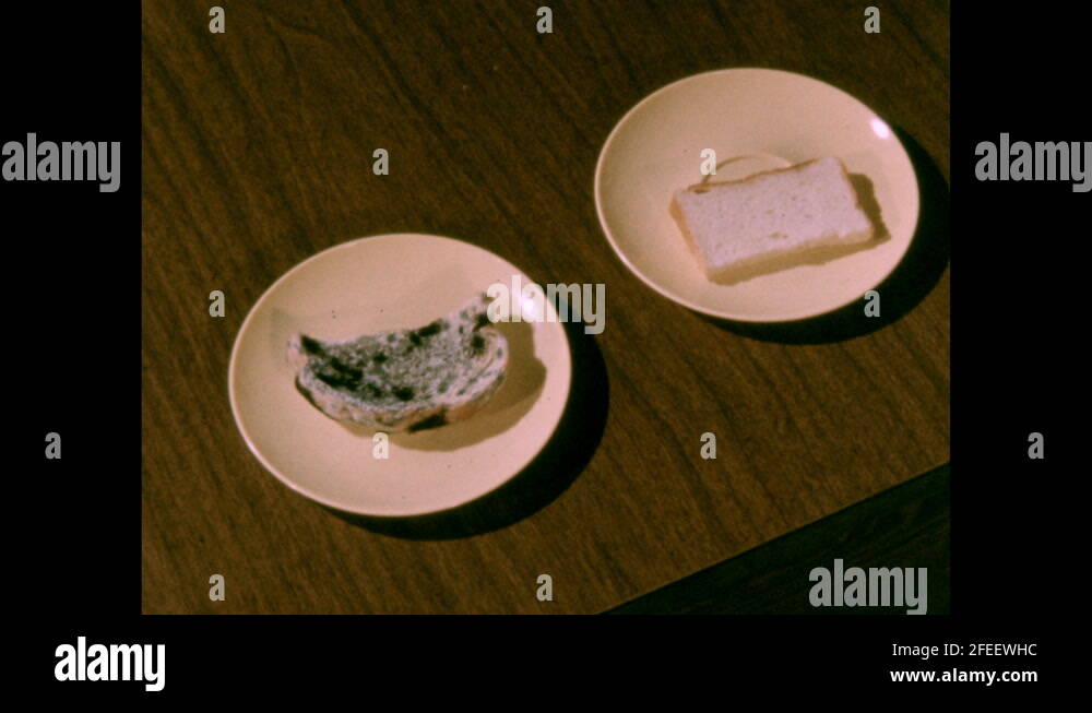 Moldy slice of bread Stock Videos & Footage - HD and 4K Video Clips - Alamy