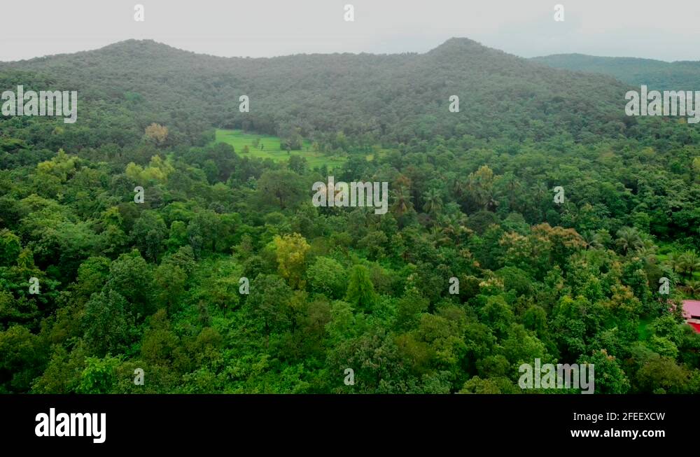 Indian hill farm Stock Videos & Footage - HD and 4K Video Clips - Alamy