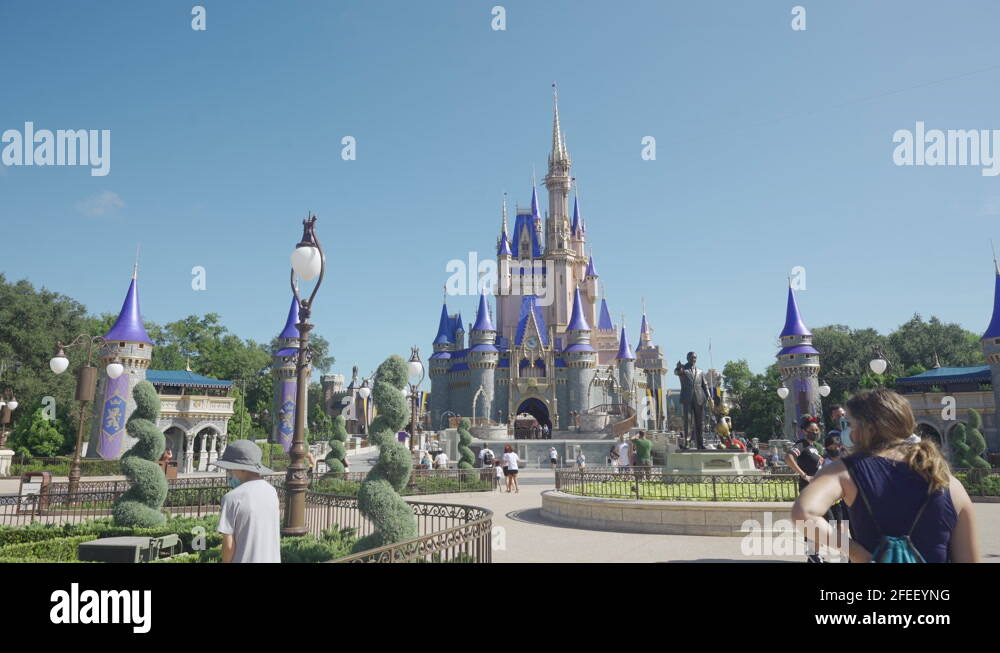 Magic kingdom castle Stock Videos & Footage - HD and 4K Video Clips - Alamy