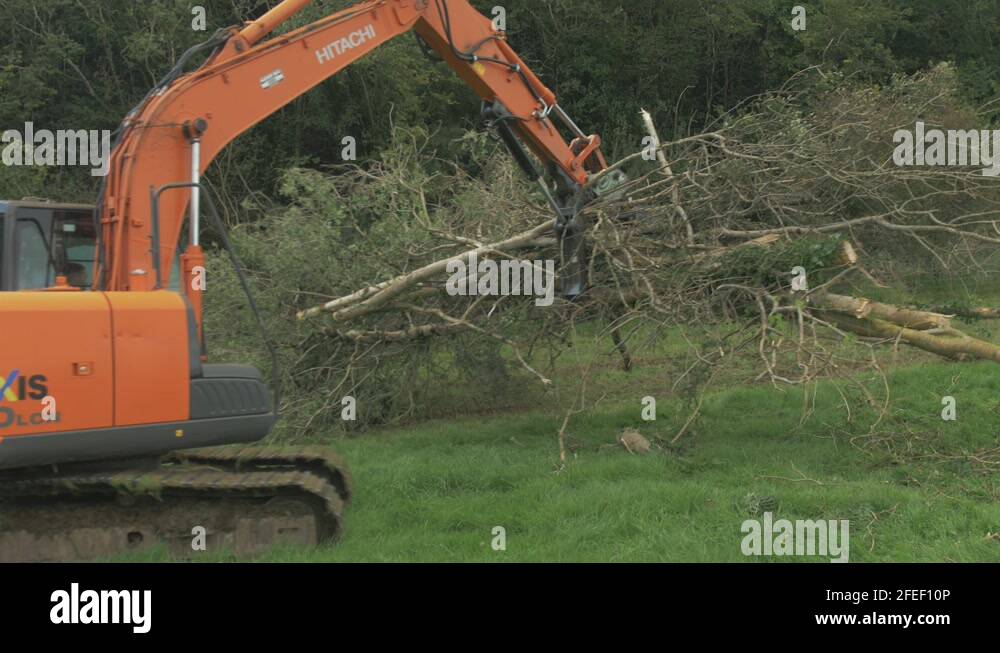 Excavator drives carrying large load of tree using bucket and hydraulic ...