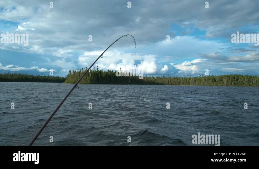 Bent fishing rod Stock Videos & Footage - HD and 4K Video Clips - Alamy