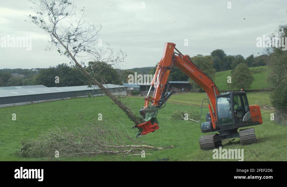 Digger excavator tree shear attachment carries and drops tree. MEDIUM ...