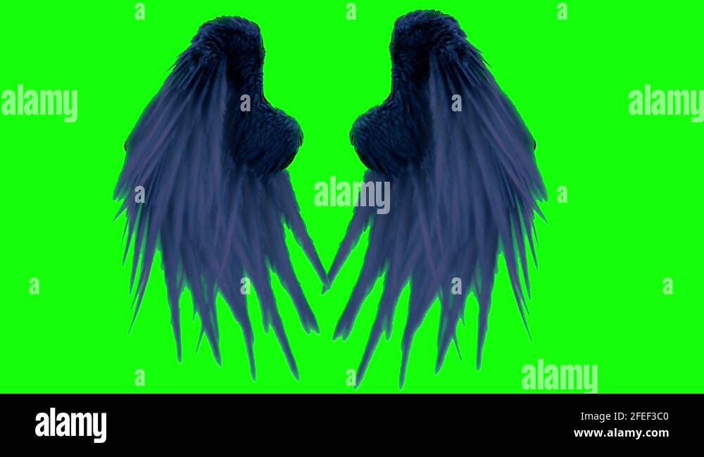 real blue devil feather wings fantasy on a green screen background ...