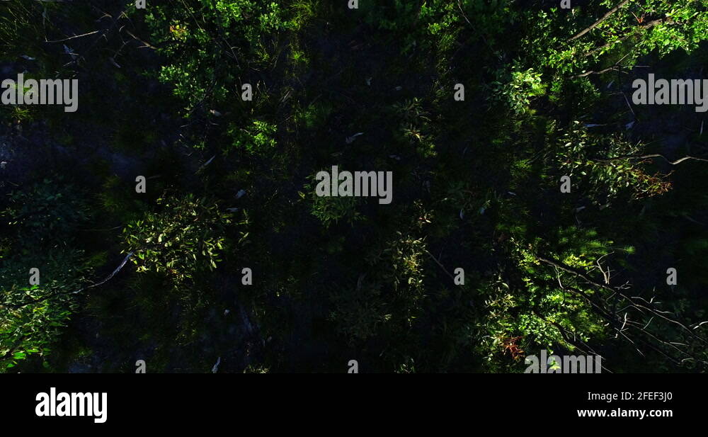 Recover from fire Stock Videos & Footage - HD and 4K Video Clips - Alamy