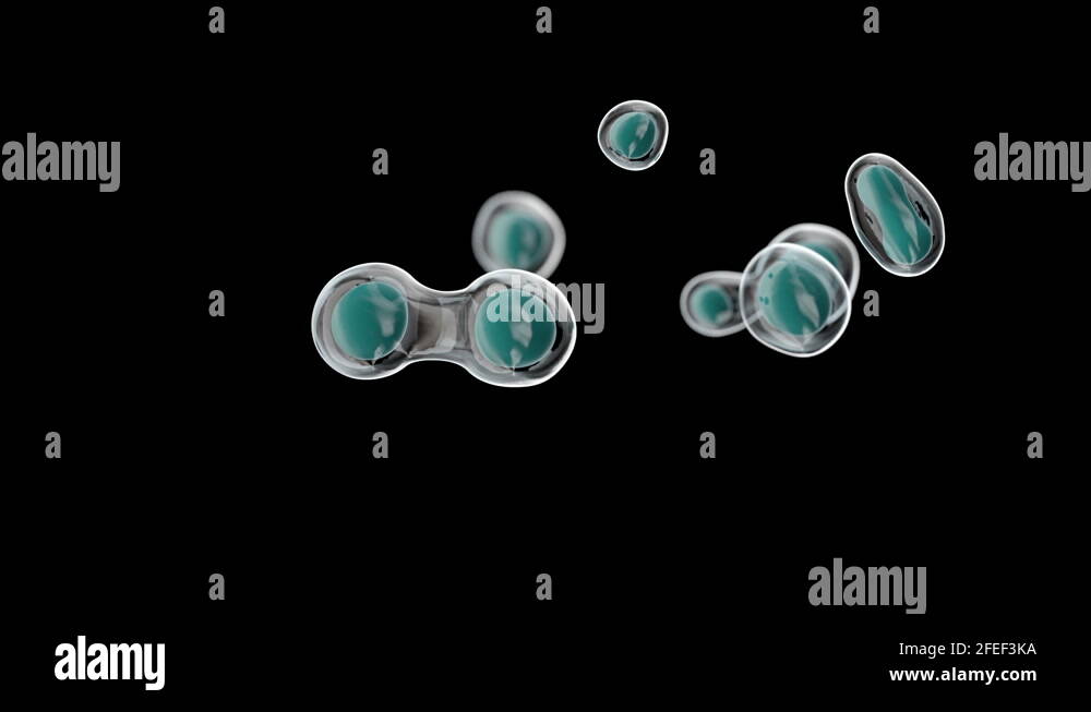 Cell splitting Stock Videos & Footage - HD and 4K Video Clips - Alamy